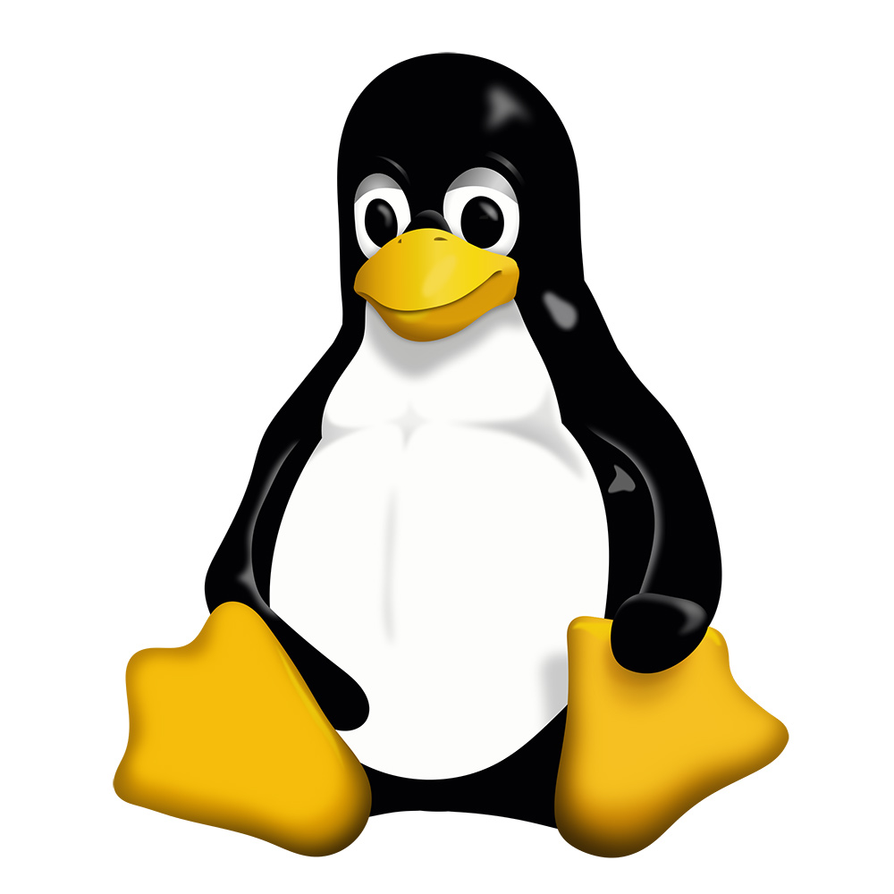  C mo Aumentar El Valor De Max input vars En PLESK 
